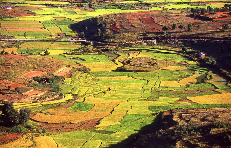 Imerina_countryside_riziere_rice_paddies_Madagascar | Island Profiles